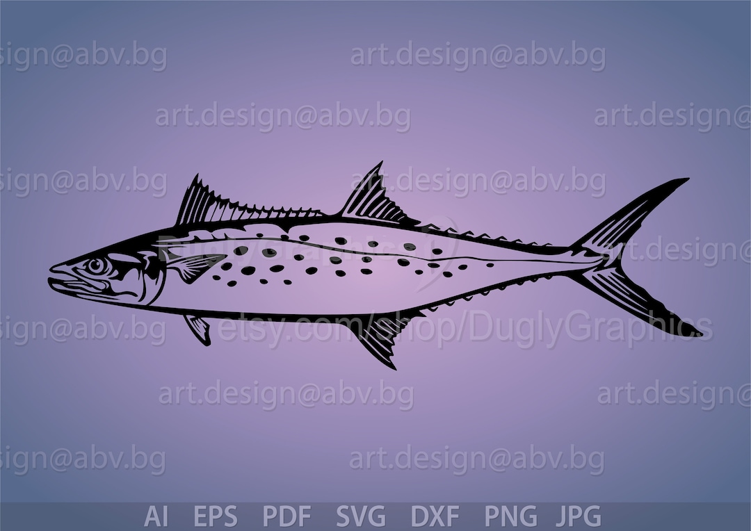 Vector SPANISH MACKEREL FISH, Ai, Eps, Pdf, Png, Svg, Dxf, Jpg Image ...
