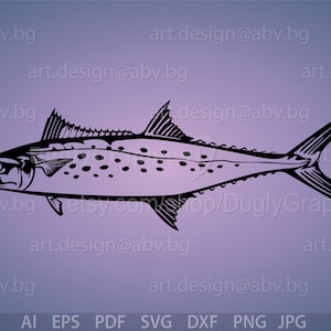 Vector SPANISH MACKEREL FISH, Ai, Eps, Pdf, Png, Svg, Dxf, Jpg Image ...