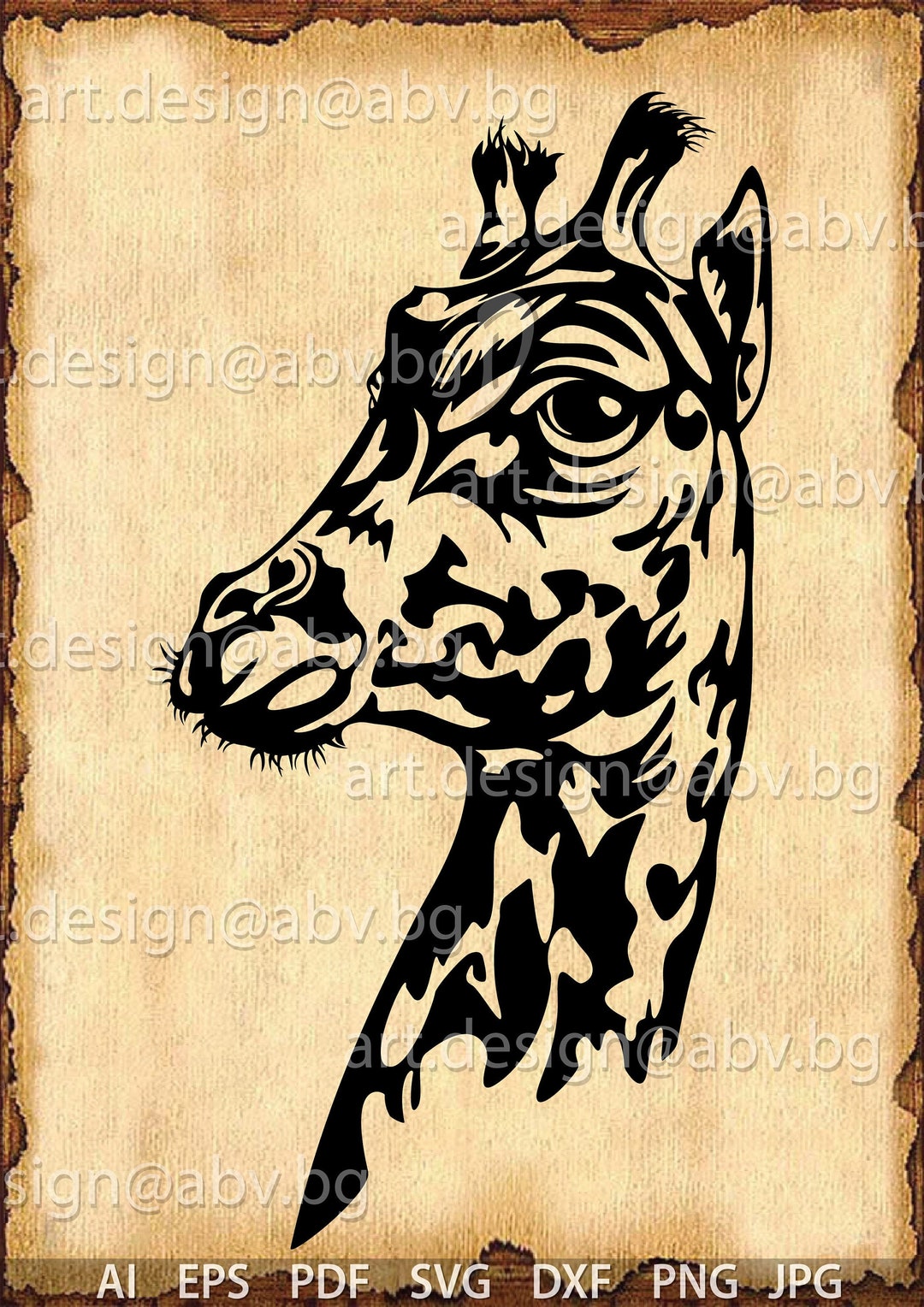 Vector Head of GIRAFFE, AI, Eps, Pdf, Svg, Dxf, Png, Jpg Download ...