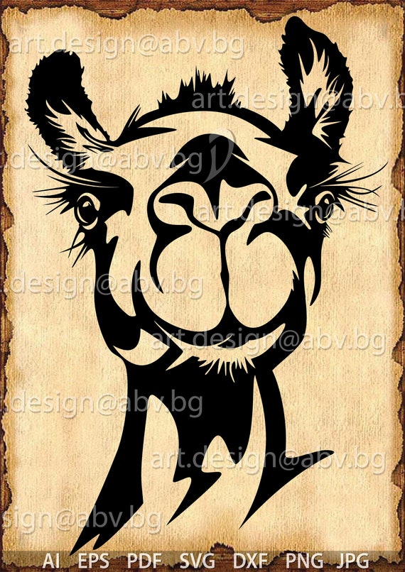 Vector CAMEL Head AI Eps PNG Pdf Svg Dxf Jpg Download | Etsy Canada