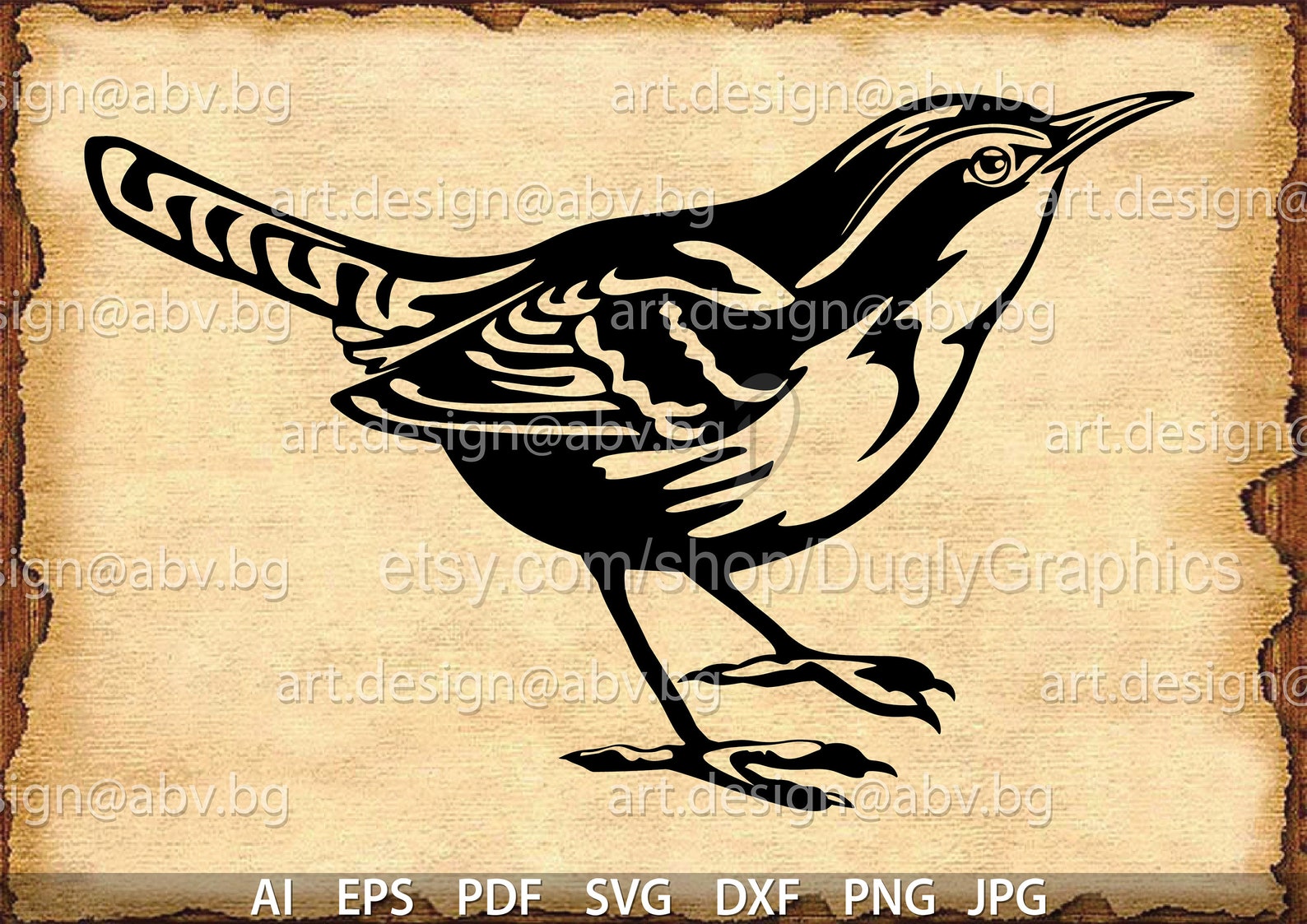 Vector BIRD Carolina Wren Svg AI Eps Pdf Dxf Png Jpg - Etsy