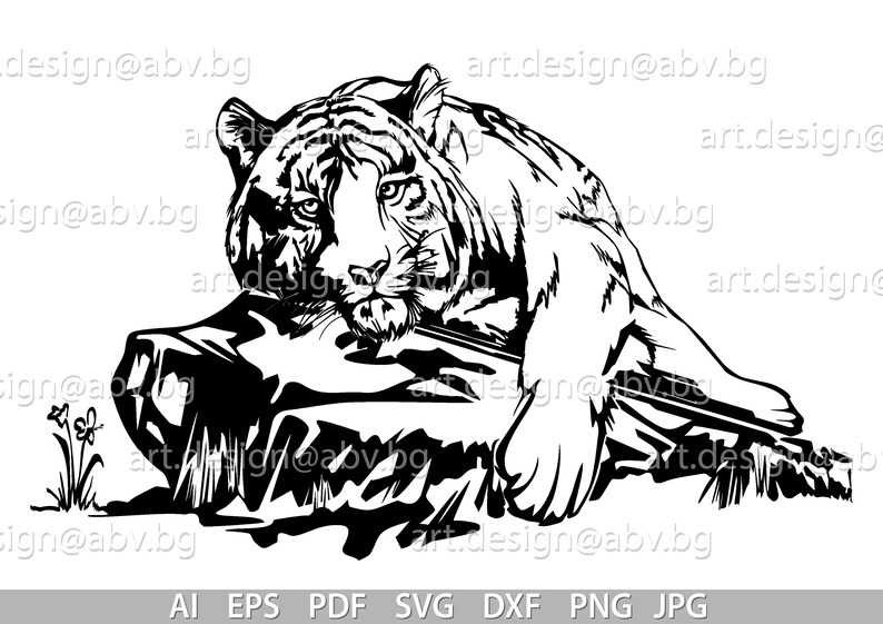 Vector TIGER on a rock AI PNG pdf eps svg dxf jpg | Etsy