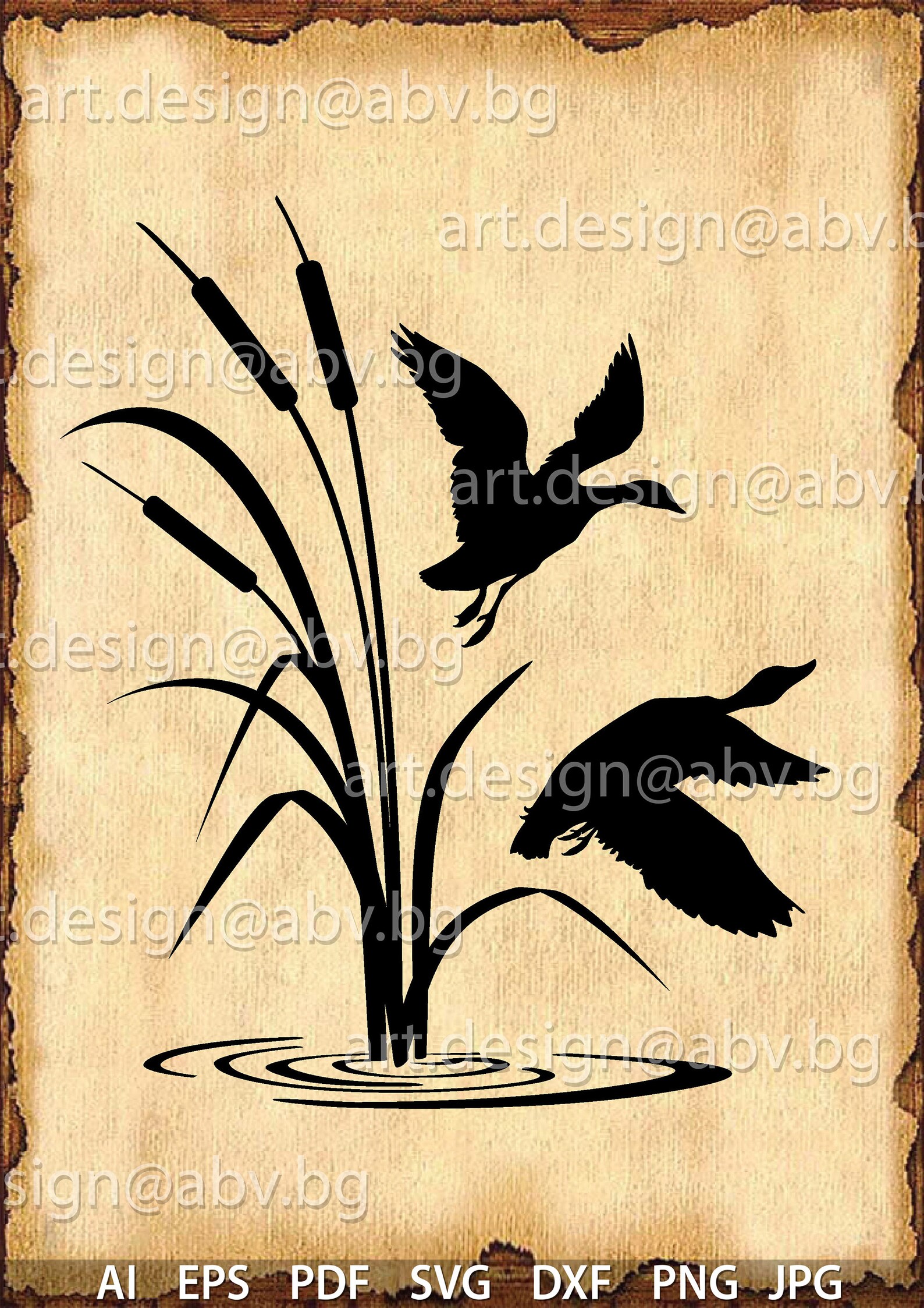 Vector DUCKS Bulrush AI Eps Pdf Png Svg Dxf Jpg Image - Etsy