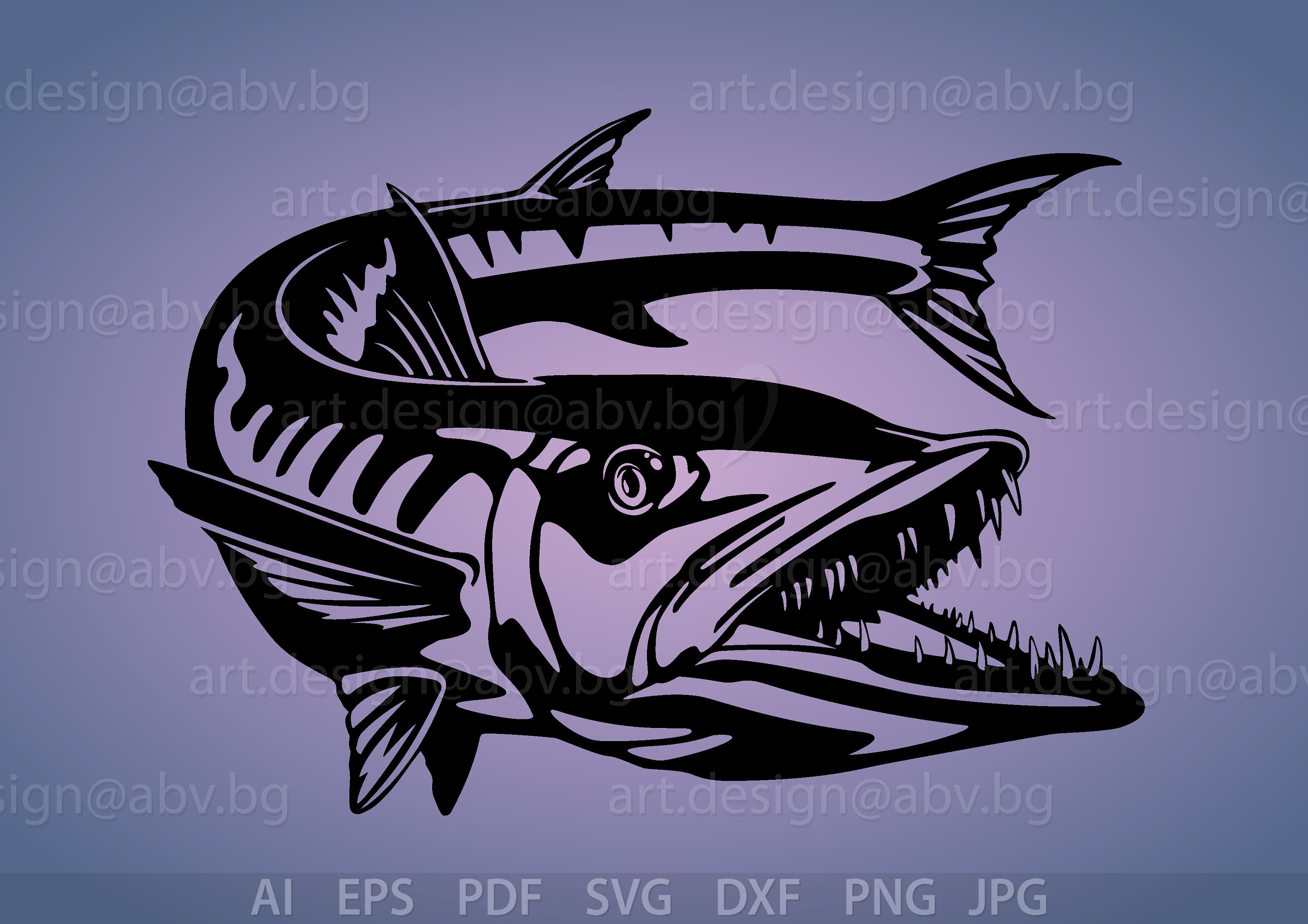 Barracuda Fish Drawing