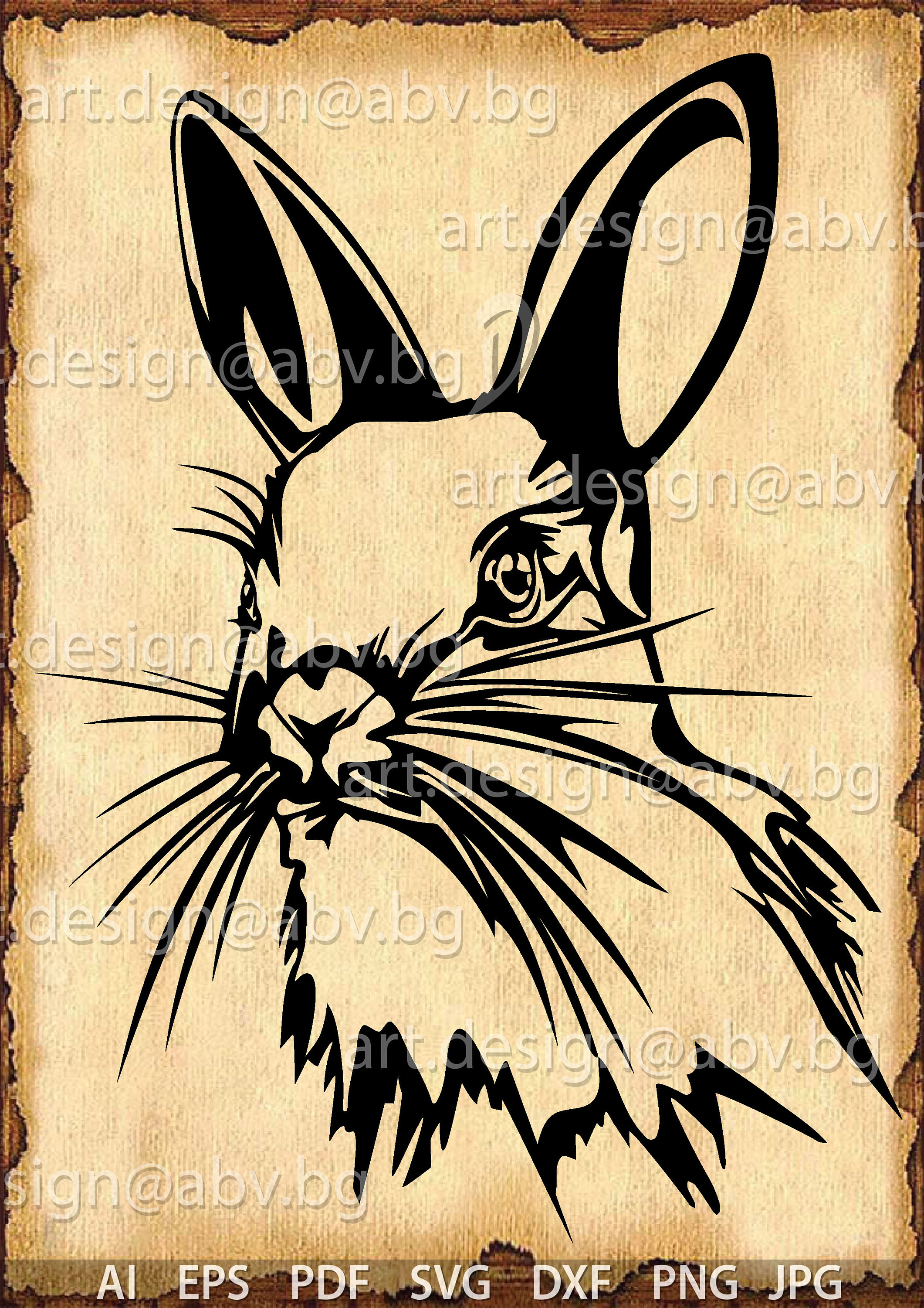 Rabbit Vector Graphic, Easter Bunny, Blanc De Hotot (digital Download ...