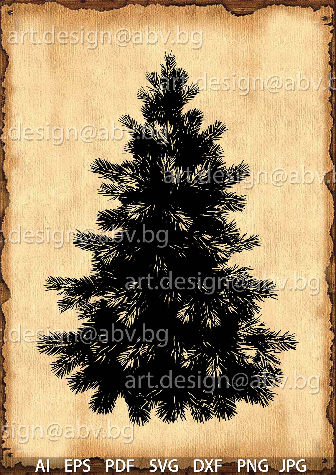 Vector CONIFER Evergreen AI Eps Pdf PNG Svg Dxf Jpg - Etsy