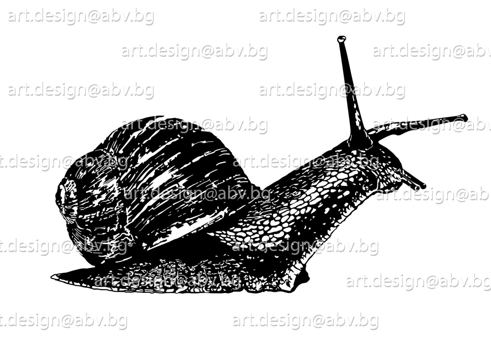 Vector SNAIL AI PNG Eps Pdf Svg Dxf Jpg Digital Image - Etsy