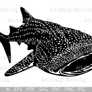 Spotted Shark Vector Graphic, Fish Art (digital Download) - Etsy