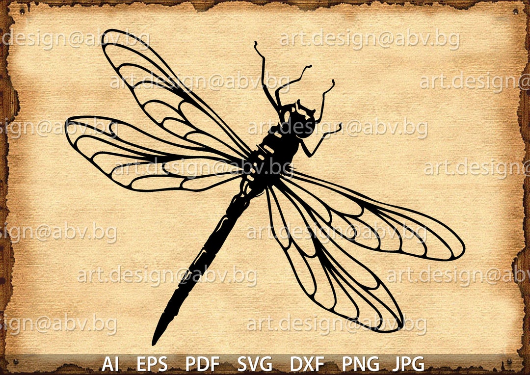 Vector DRAGONFLY Insect AI Eps Pdf Svg Dxf Png Jpg Download Digital ...