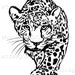 Vector LEOPARD AI PNG Eps Pdf Svg Dxf Jpg Download - Etsy