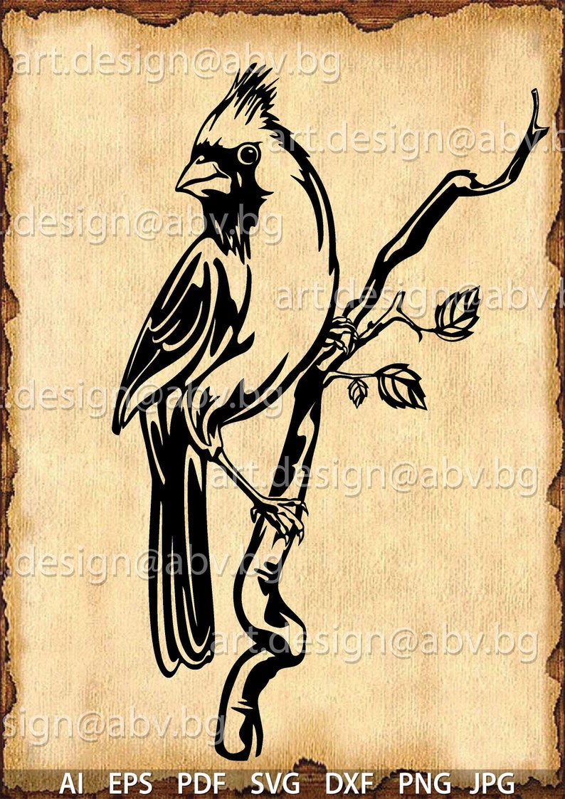 Vector BIRD AI Eps Pdf SVG Dxf Png Jpg Download | Etsy