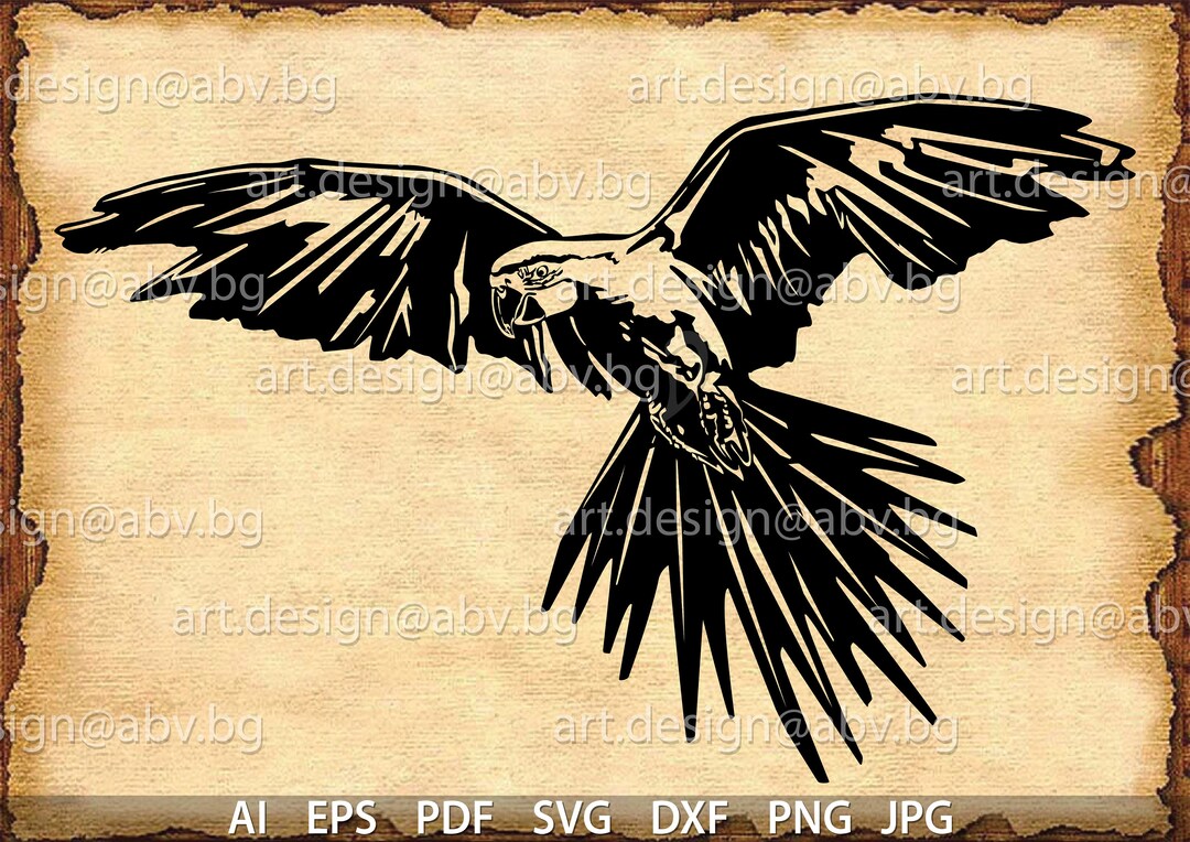 Vector PARROT, AI, PNG, Eps, Pdf, Svg, Dxf, Jpg Download, Digital Image ...