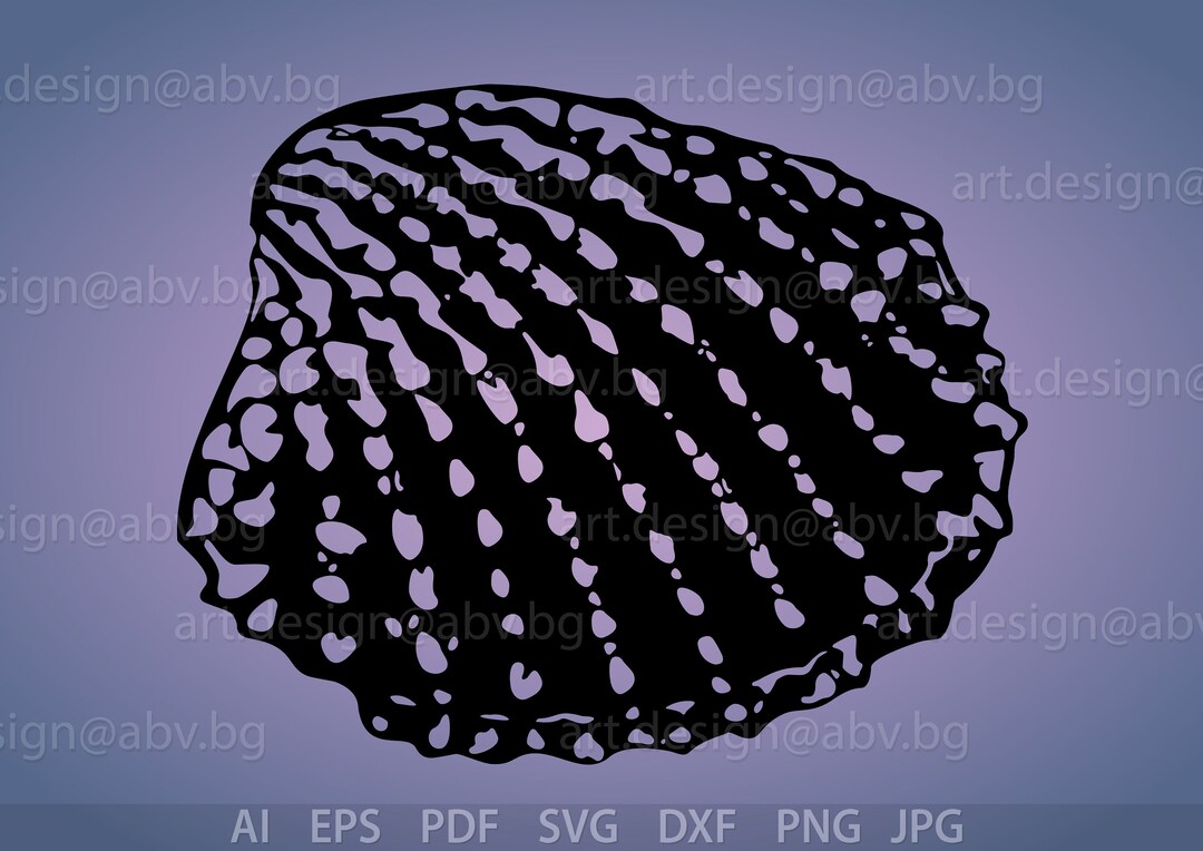 Vector MUSSEL Bivalve Clam AI Eps Pdf Svg Dxf Png Jpg Image Graphic ...