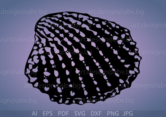 Vector MUSSEL Bivalve Clam AI Eps Pdf Svg Dxf Png Jpg Image | Etsy