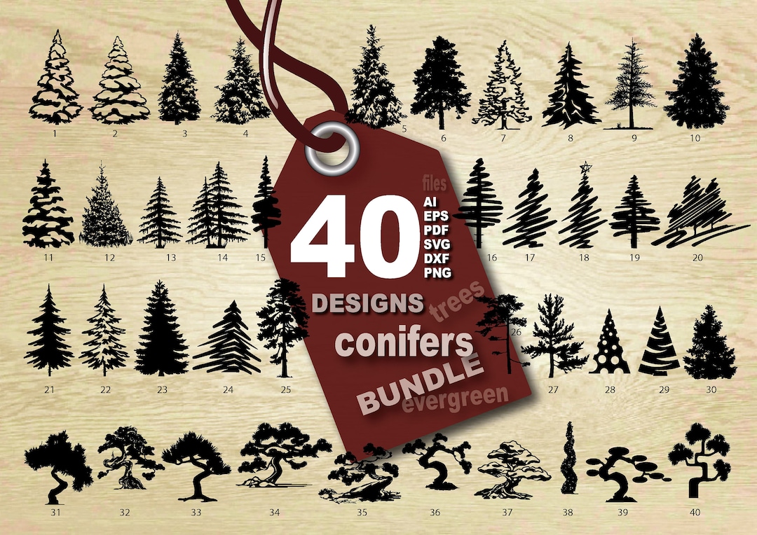 Conifer Tree Vector Bundle: 40 Evergreen Designs (digital Download) - Etsy