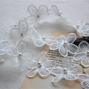 Delicate Lace With White Beaded Floral Lace Appliqué for a Bridal ...