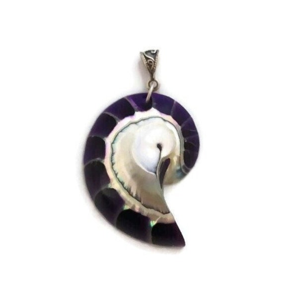 Nautilus Shell - Etsy