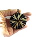Large Strombus Seashell Pendant Sunburst of Center Cut - Etsy