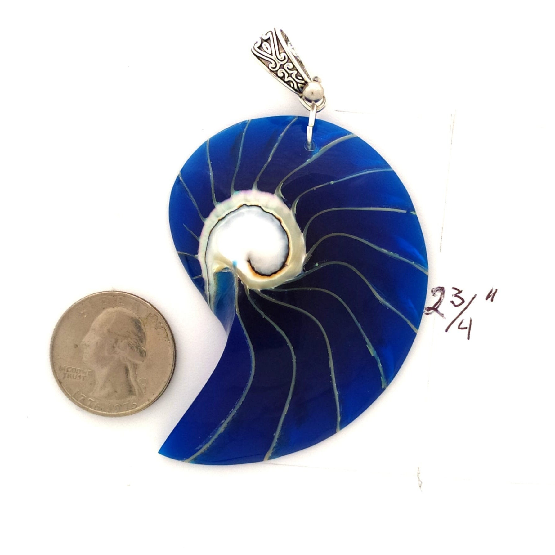 Large Real Nautilus Shell Necklace Pendant in Royal Sapphire - Etsy