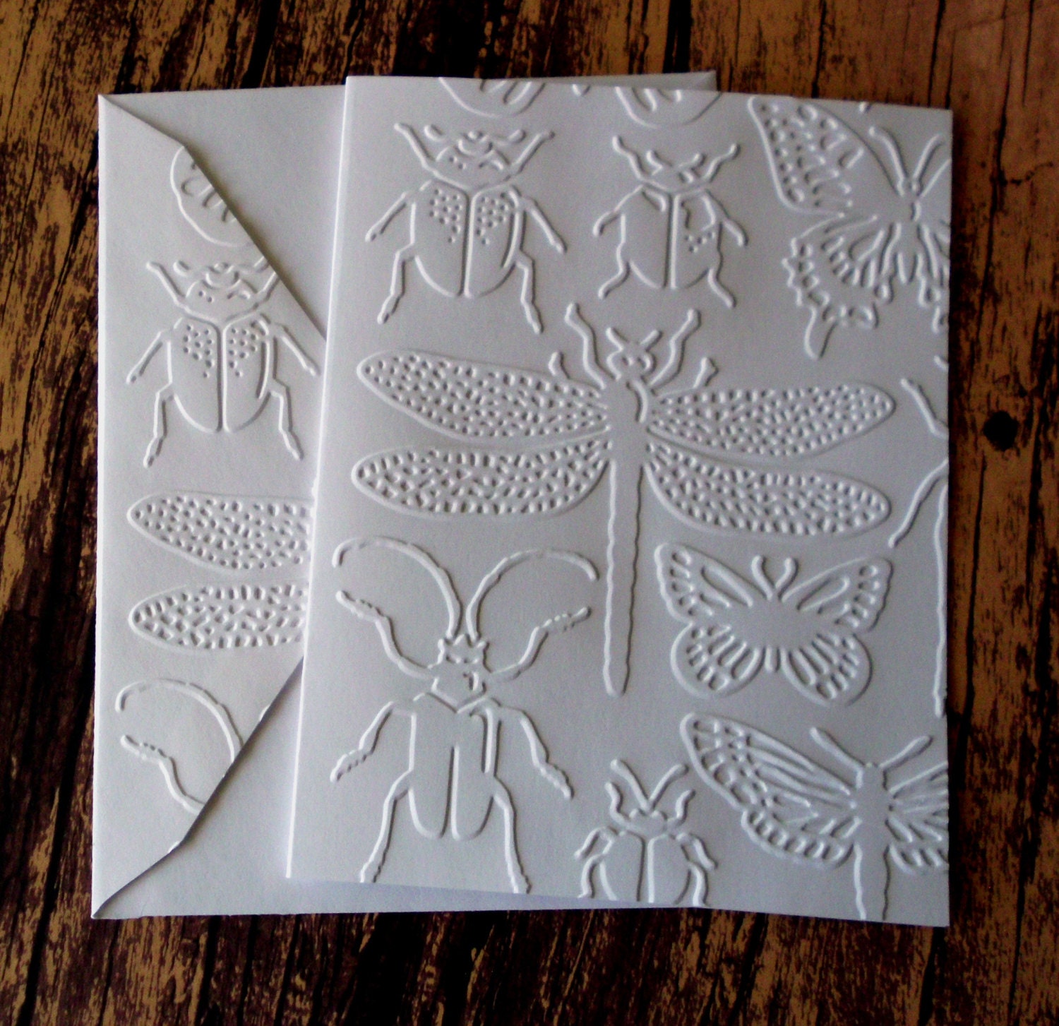 Embossed Insect Cards Set of 5 White Embossed Note Cards - Etsy