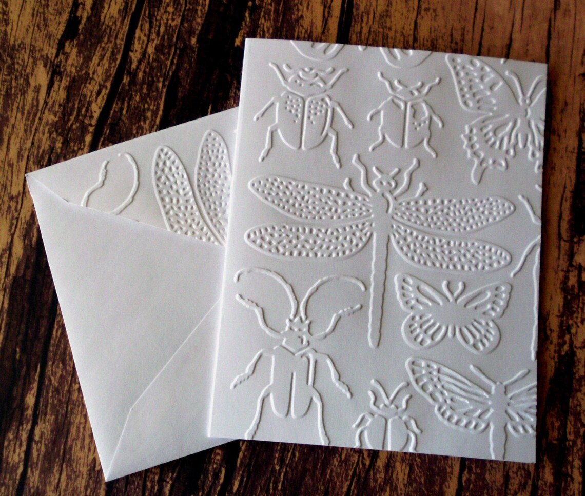 Embossed Insect Cards, Set of 5, White Embossed Note Cards, Gift for ...