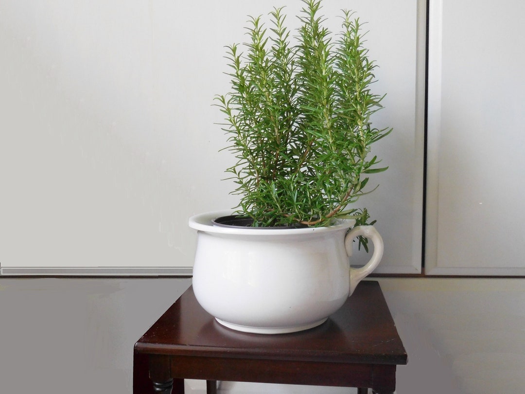 Ironstone White Chamber Pot, G.S. Ironstone Pottery, Vintage Farmhouse ...
