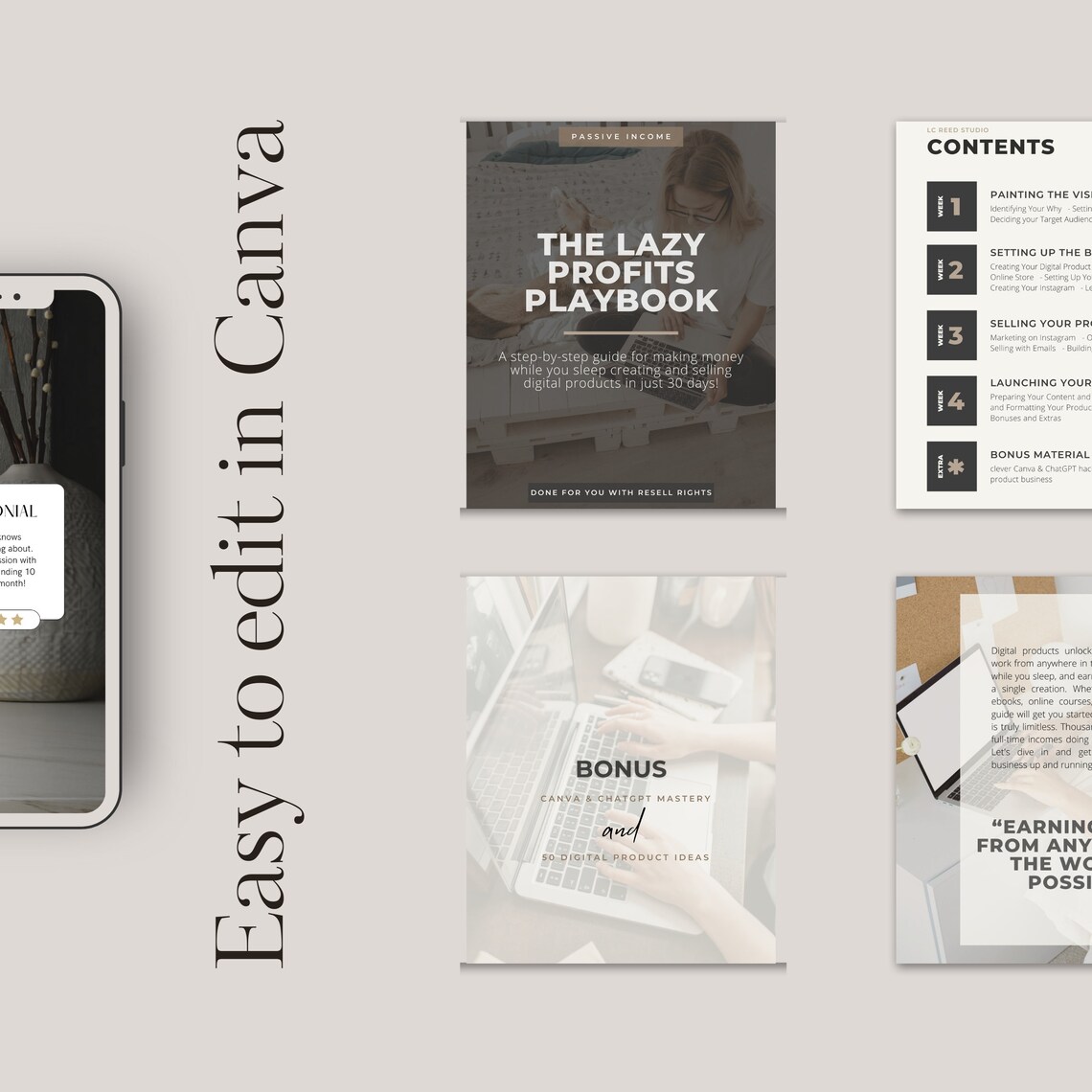 Done for You Lazy Profits Playbook Beginner Passive Income Master Resell Rights MRR PLR Canva ...