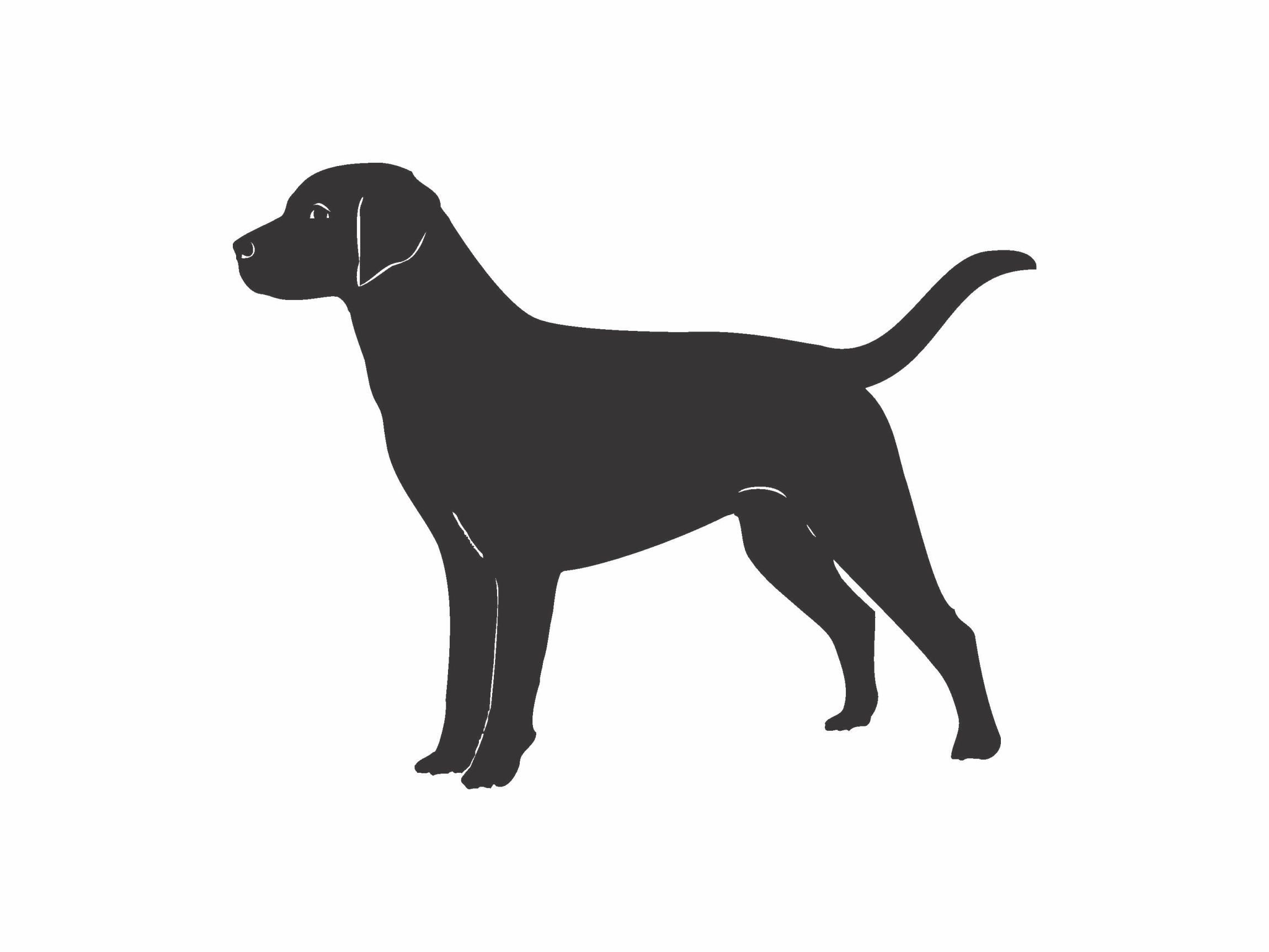 Labrador Decal Sticker, Vinyl Decal Great for Car Windows, Outdoor ...
