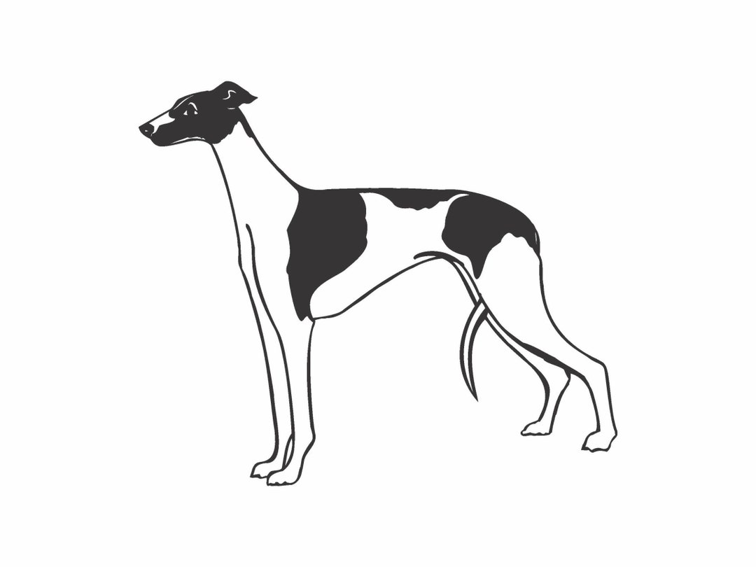 Greyhound Decal Sticker, Vinyl Decal Great for Car Windows, Outdoor ...