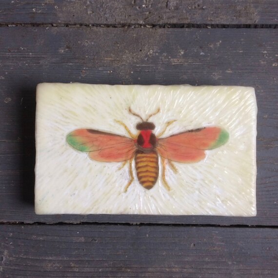 Encaustic Painting Insect Art Bee Moth Art Original - Etsy