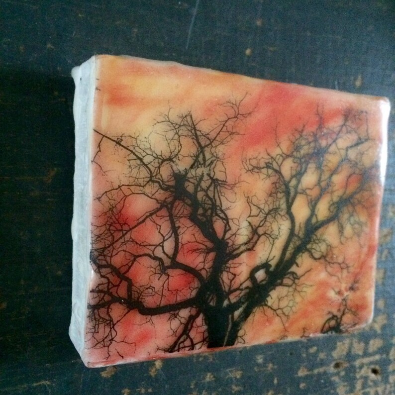 Small Encaustic Painting Tree Red Background Image Transfer Painting ...