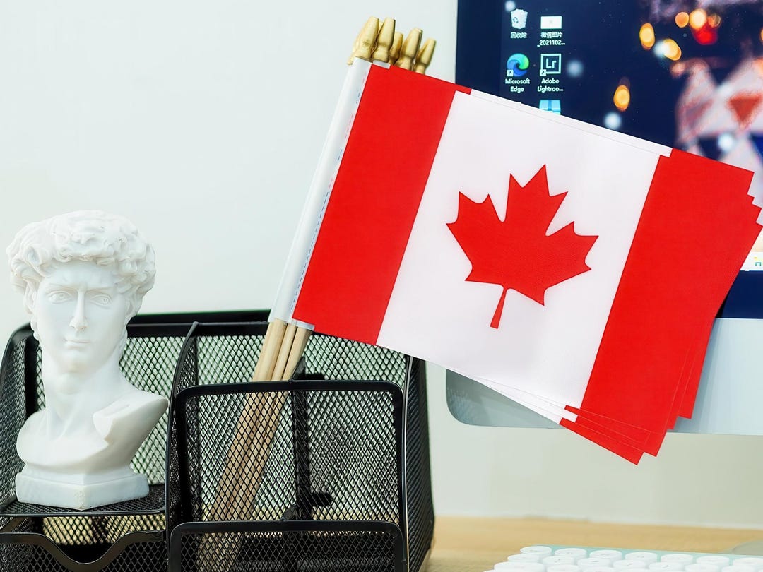 12 Pack Mini Canadian Flags Hand Held Canada Flag Decorations Perfect ...