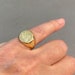 Family Crest Signet Ring, Pinky Ring, Image Engraved, College ...
