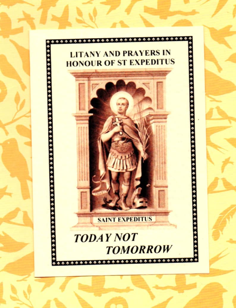 St EXPEDITUS **NEW** ENGLISH Prayer Leaflet With Litany/prayers/brief ...