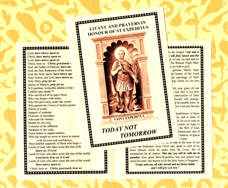 St EXPEDITUS **NEW** ENGLISH Prayer Leaflet With Litany/prayers/brief ...