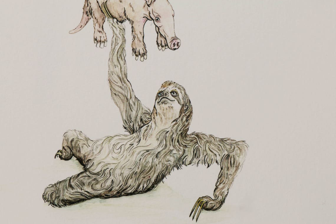 The Super Strong Sloth. A3 Art Print Featuring a Sloth - Etsy