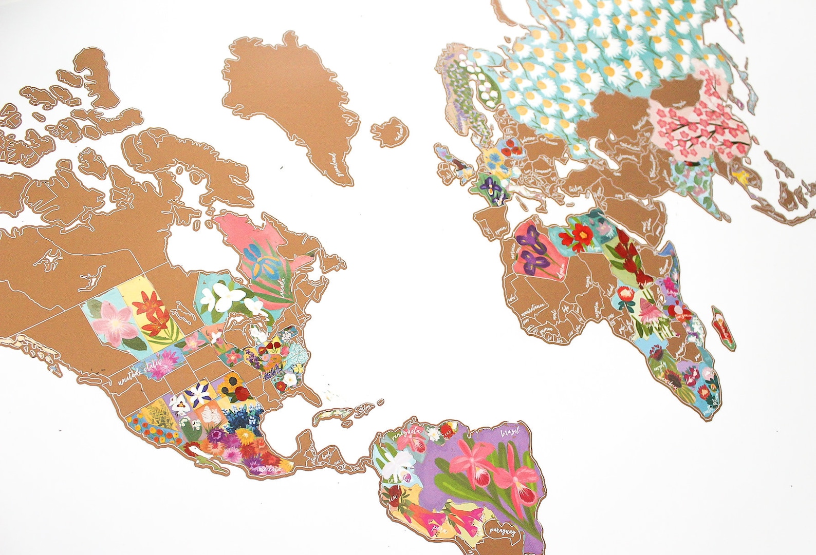 National Flowers World Scratch Your Travel Map Botanical - Etsy