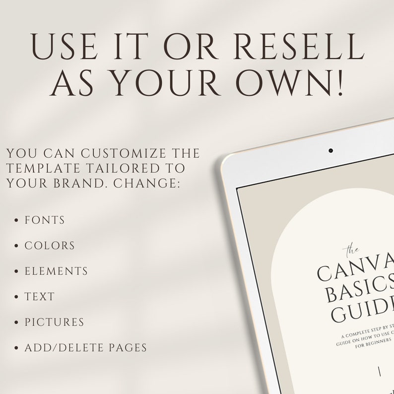Canva Basics Guide MRR Canva User Guide PLR Done for You Digital Product Beginner Canva Guide ...