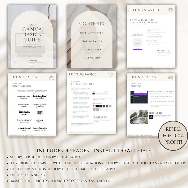 Canva Basics Guide | MRR | Canva User Guide PLR | Done for You Digital ...