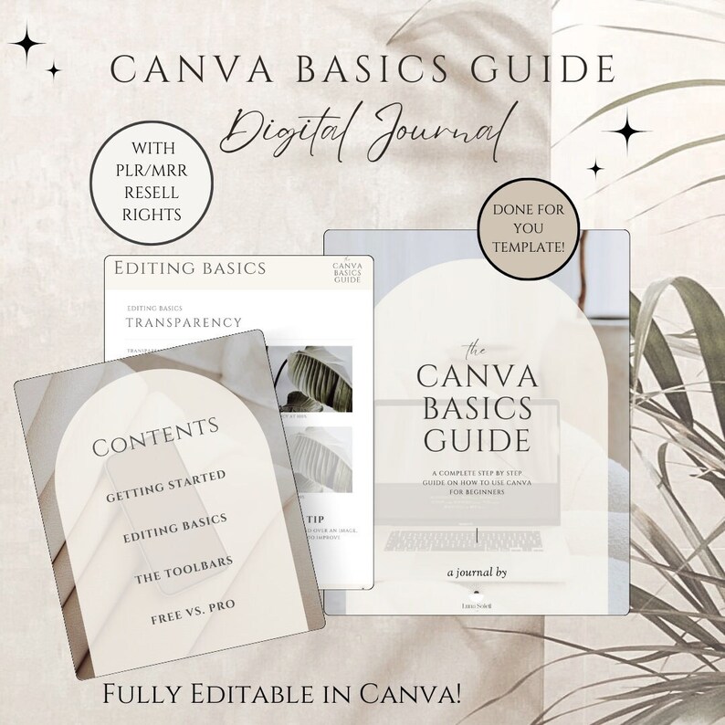 Canva Basics Guide | MRR | Canva User Guide PLR | Done for You Digital ...