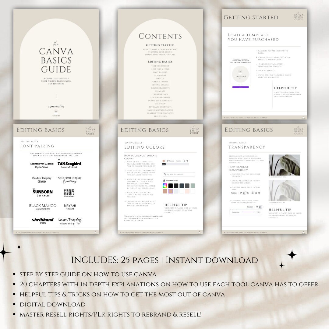 Canva Basics Guide MRR Canva User Guide PLR Done for You Digital ...