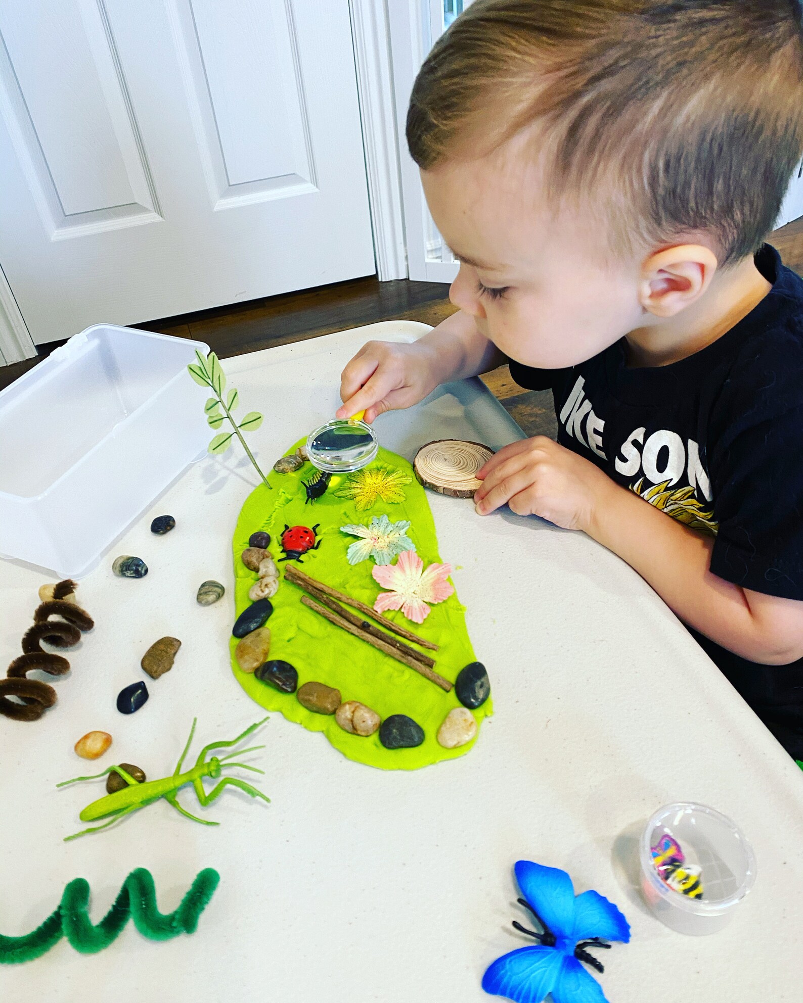 Small Bug Play Dough Kit, Insects Sensory Play Homemade Playdough - Etsy