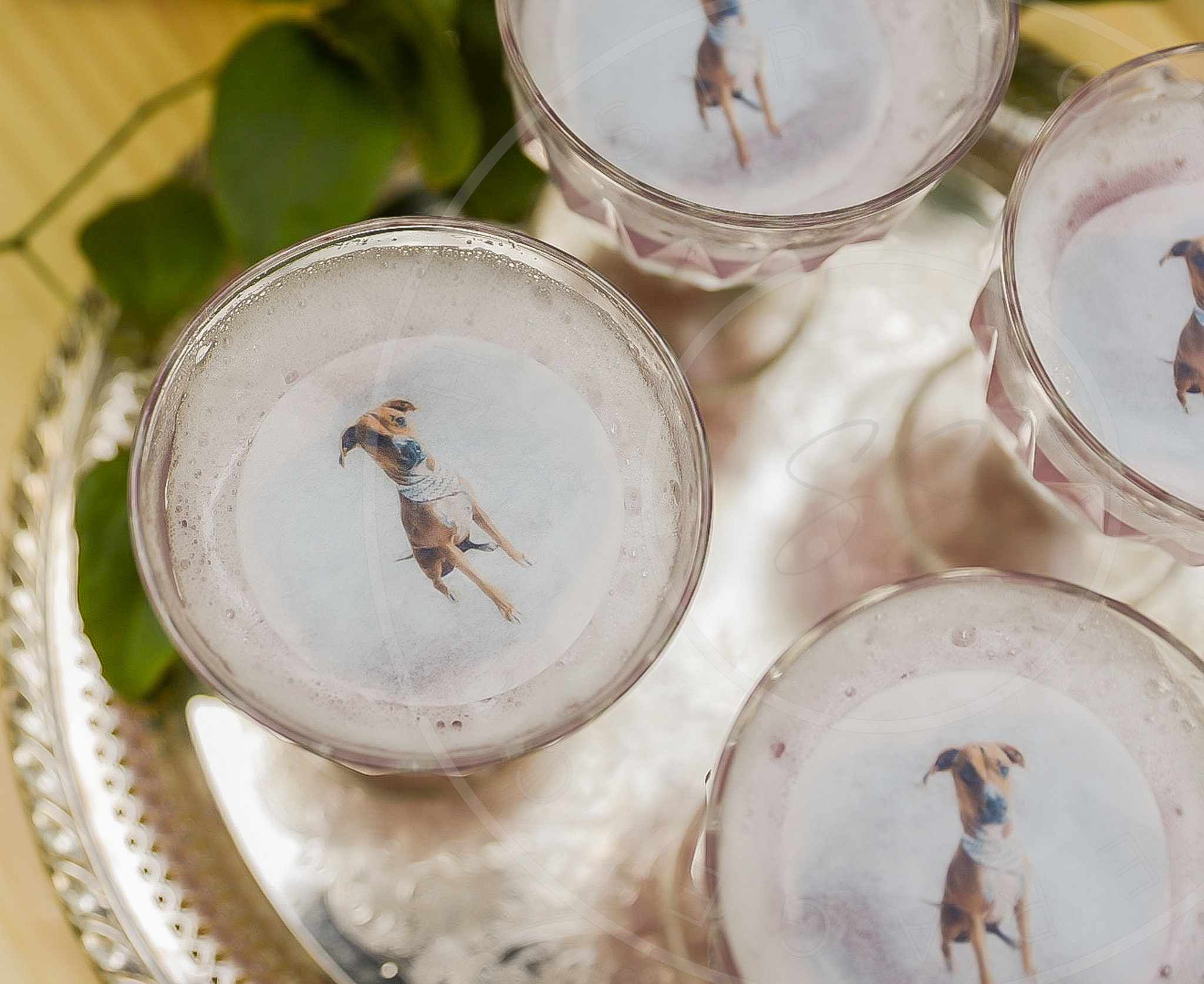 Pet Drawing Cocktail Toppers- Watercolor Pet Cocktail Topper-cocktail ...