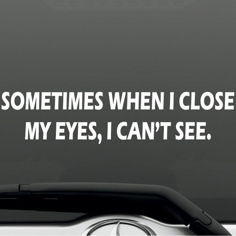 Funny Vinyl Decals - Etsy