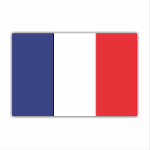 2 Pcs French Flag Sticker Vinyl Decal France Country Sticker Car Truck ...