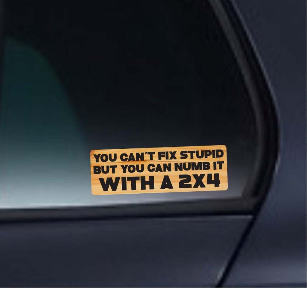You Can't Fix Stupid Funny Bumper Sticker Vinyl Decal MacBook Pro Air ...