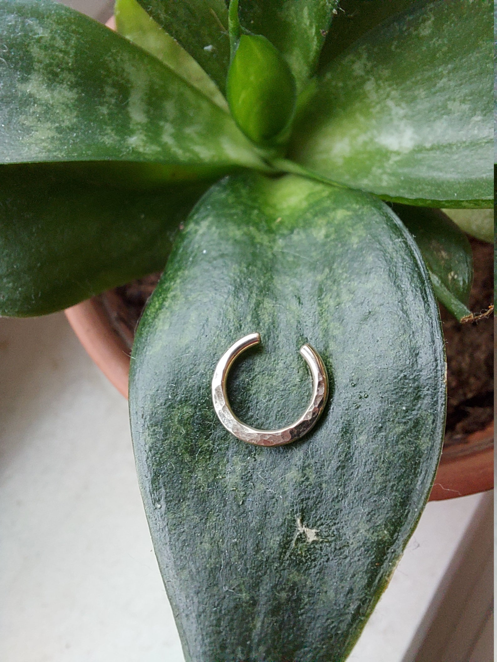 Tribal Setum Ring Clip on OR Pierced Septum 16 Gauge Hoop OR - Etsy
