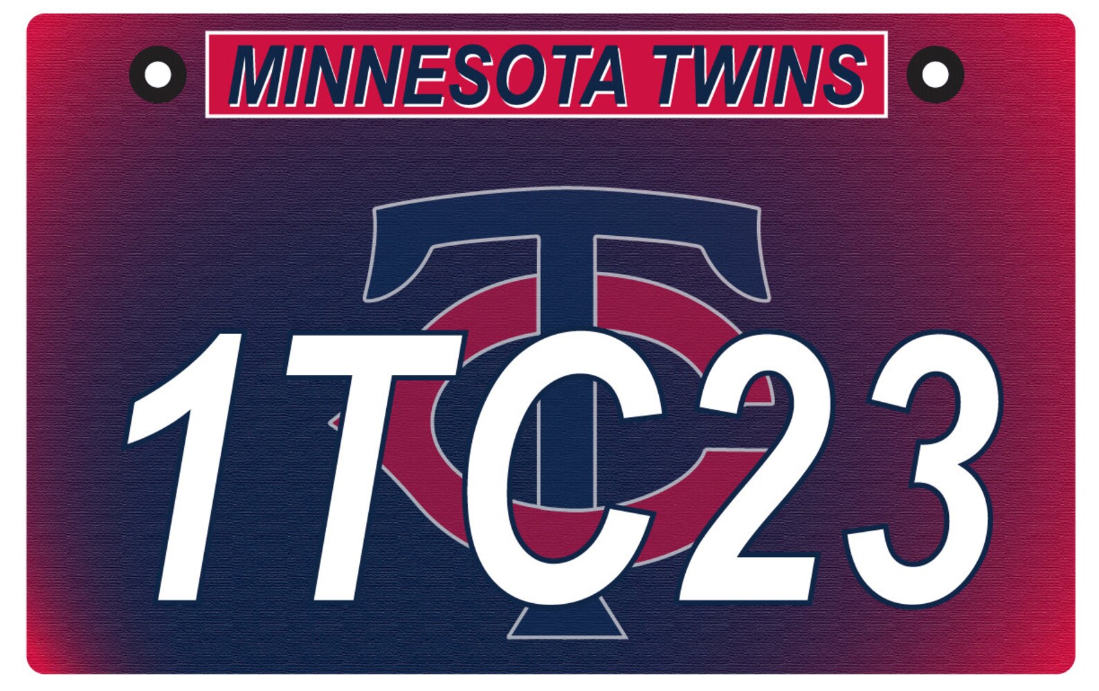 Minnesota Twins Custom ATV License Plate MN A.T.V./UTV free | Etsy