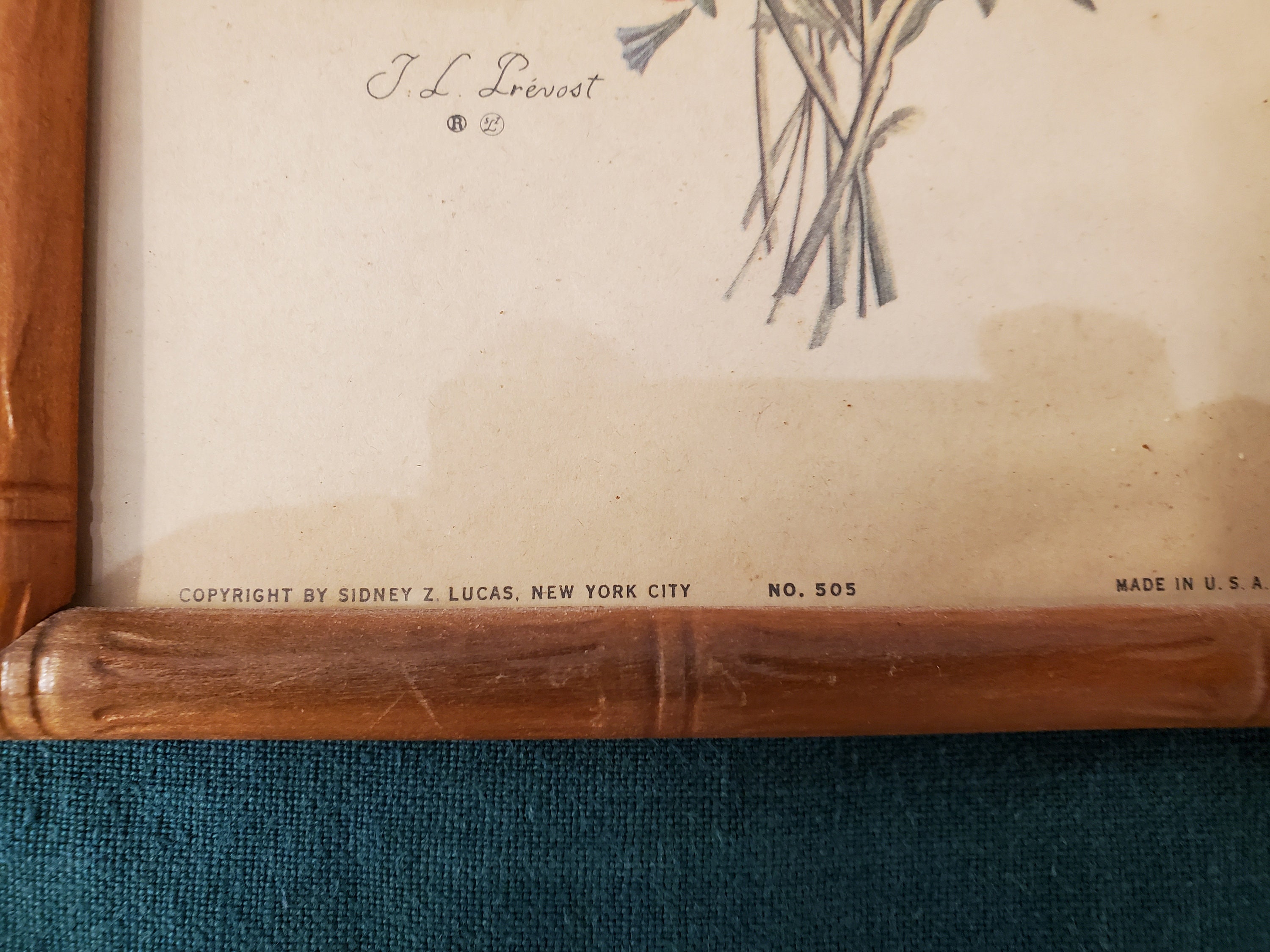 2 J.L. Prevost Sidney Lucas NYC Framed Floral Prints 503 and 505 5x7 ...