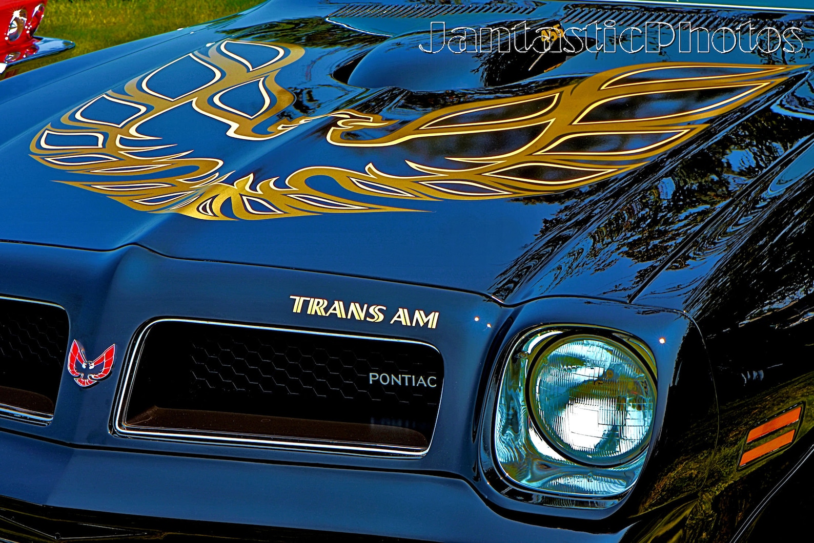 Pontiac Firebird Trans Am photograph 1976 screaming eagle | Etsy